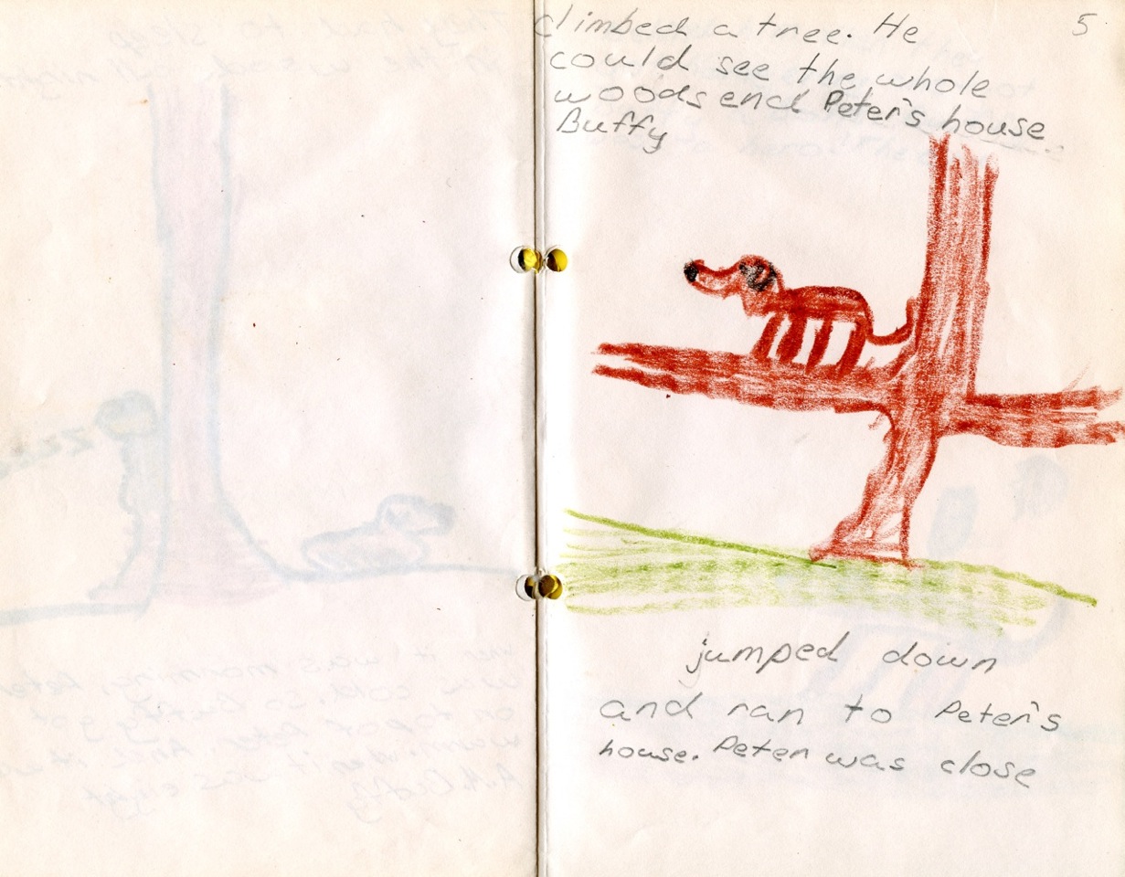Peter Brown first book written and illustrated, age 6