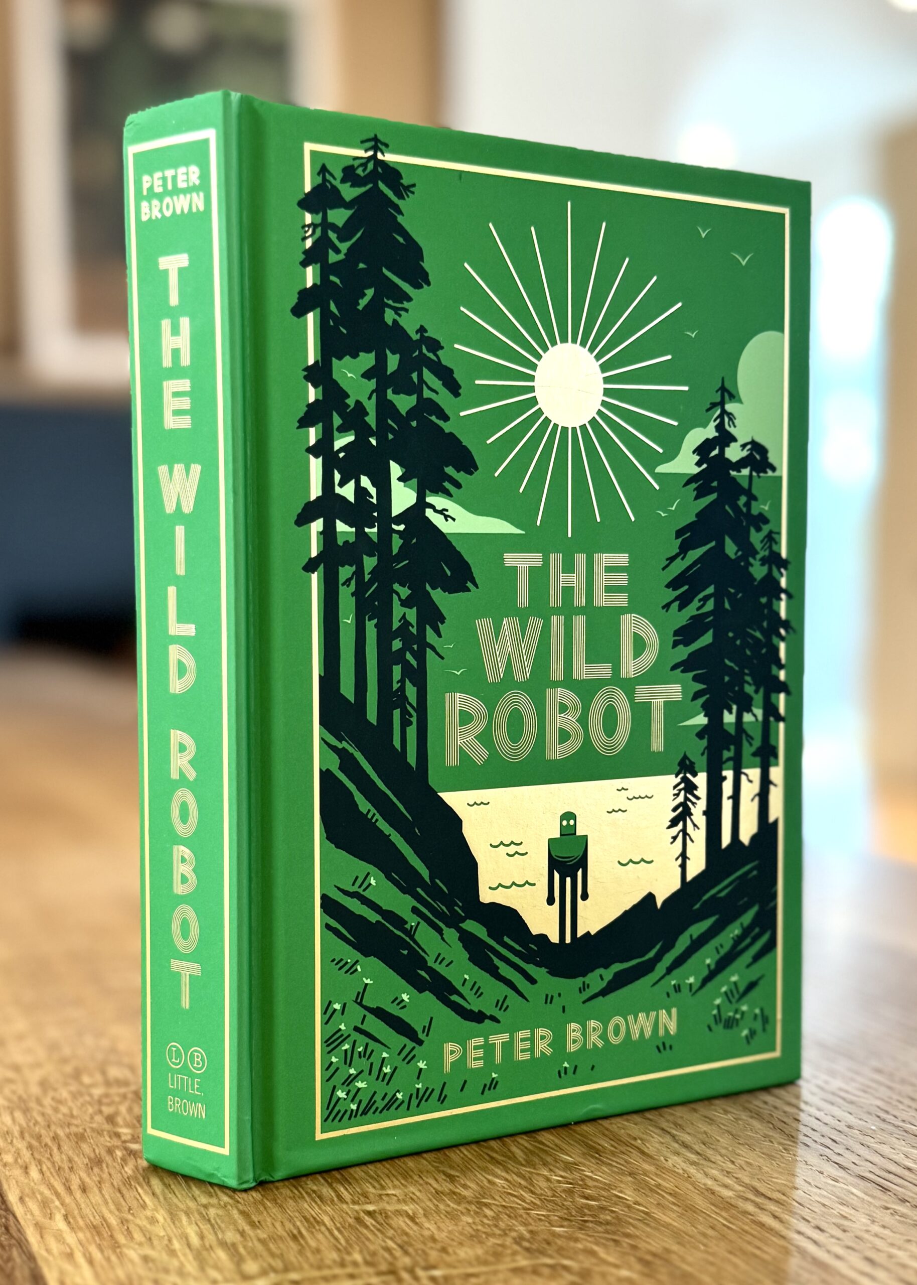 PETER BROWN Studio / Children's Book Author & Illustrator